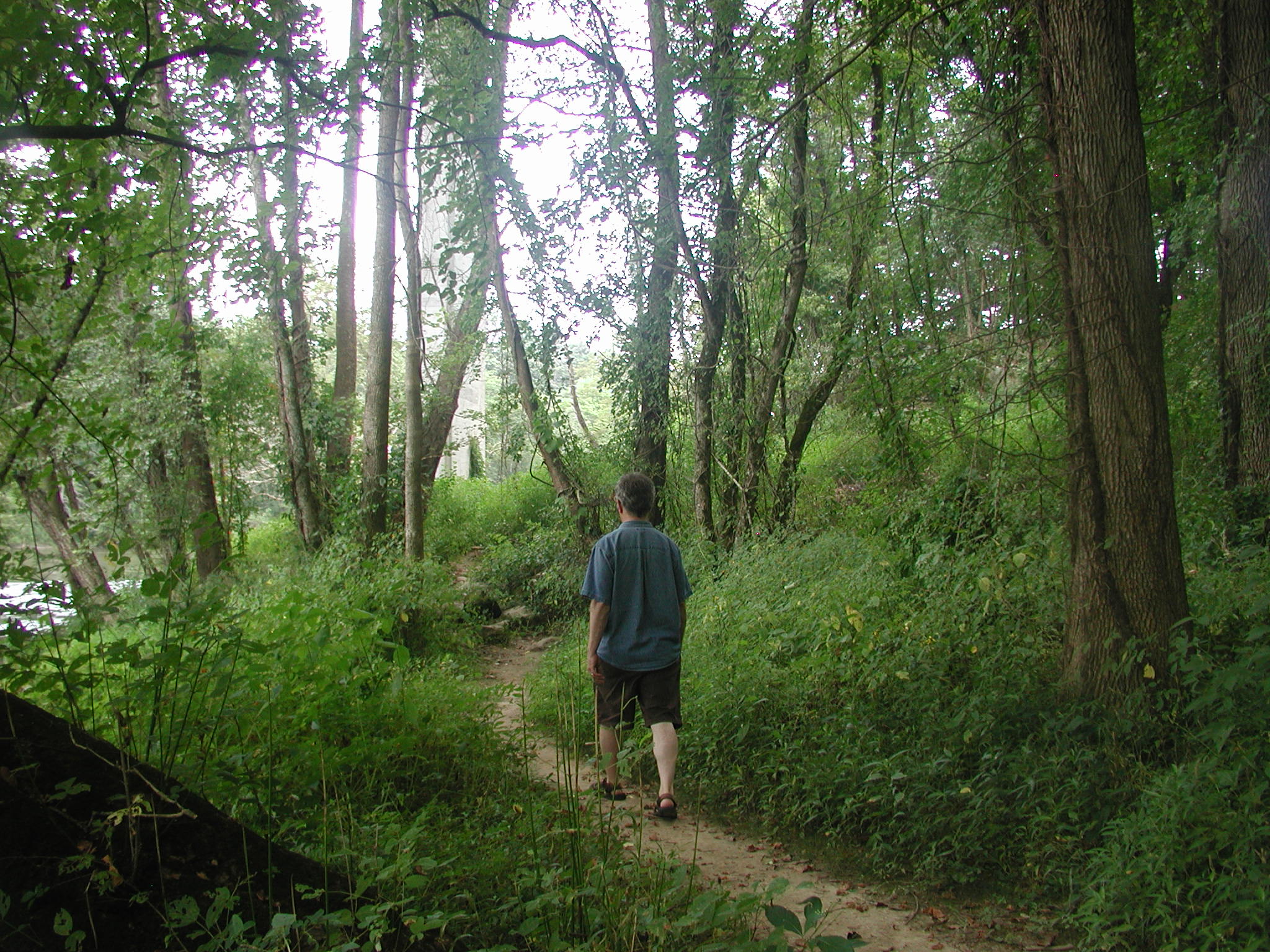 Isolation vs. Solitude - Beyond Meds: Alternatives to Psychiatry