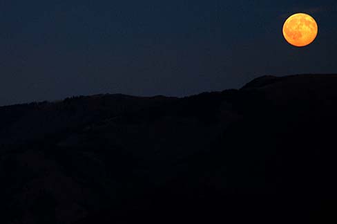 Dark night - healing the shadow and the dark emotions - Beyond Meds ...